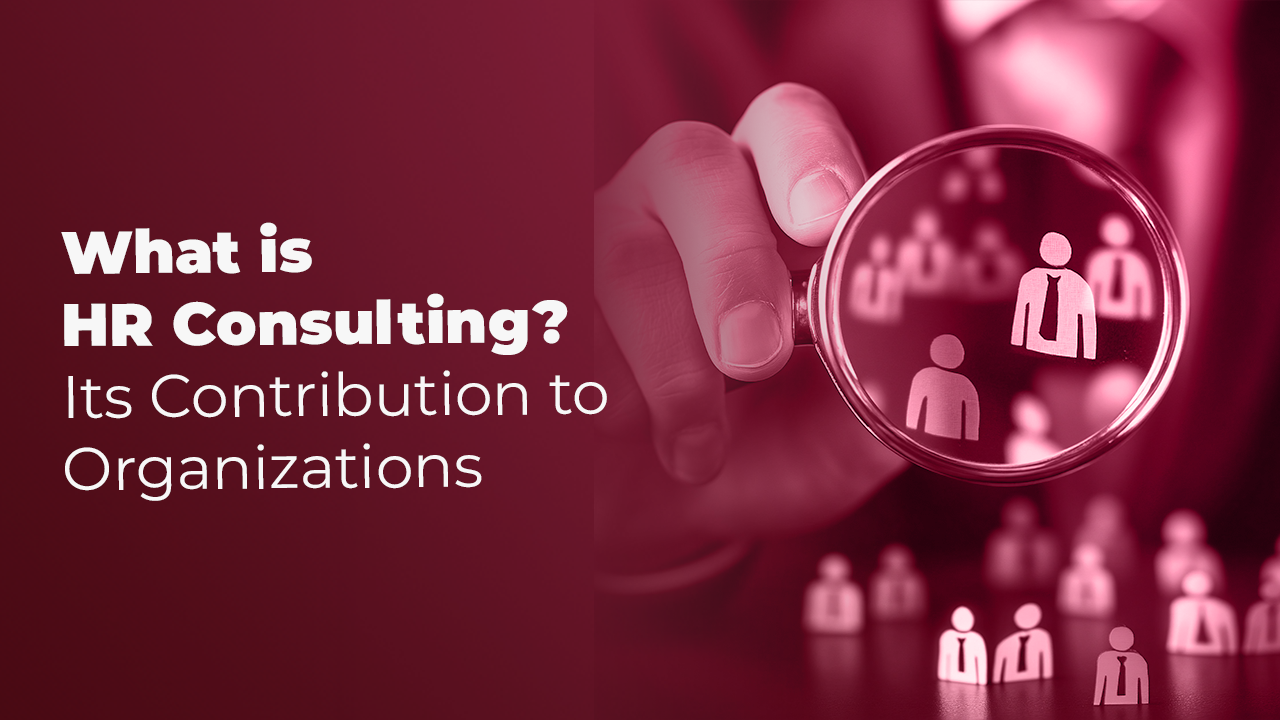 What is HR Consulting? Its Contribution to Organizations - AVD İnsan ...